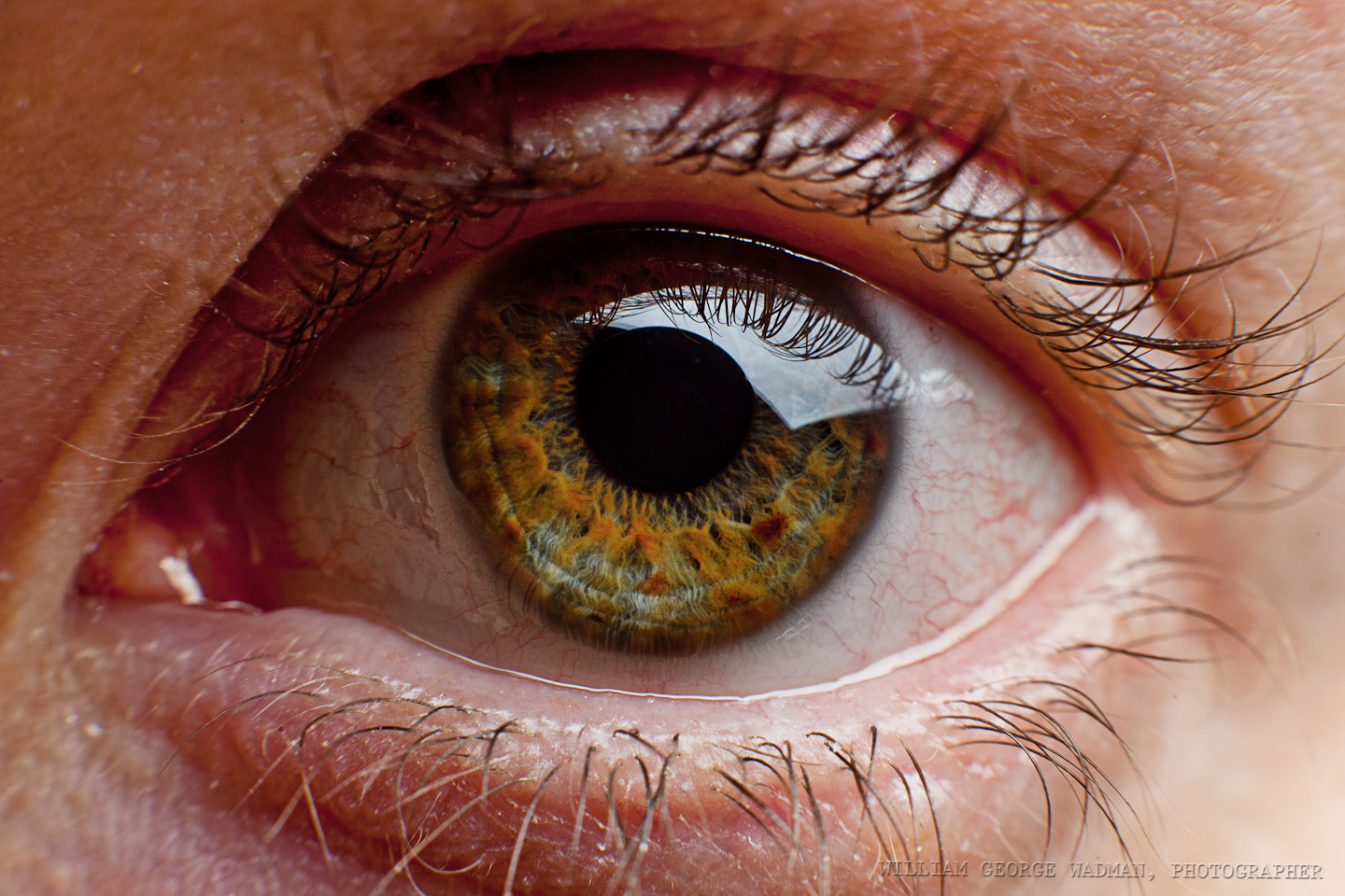 Day 60 Left Eye On Taking Pictures